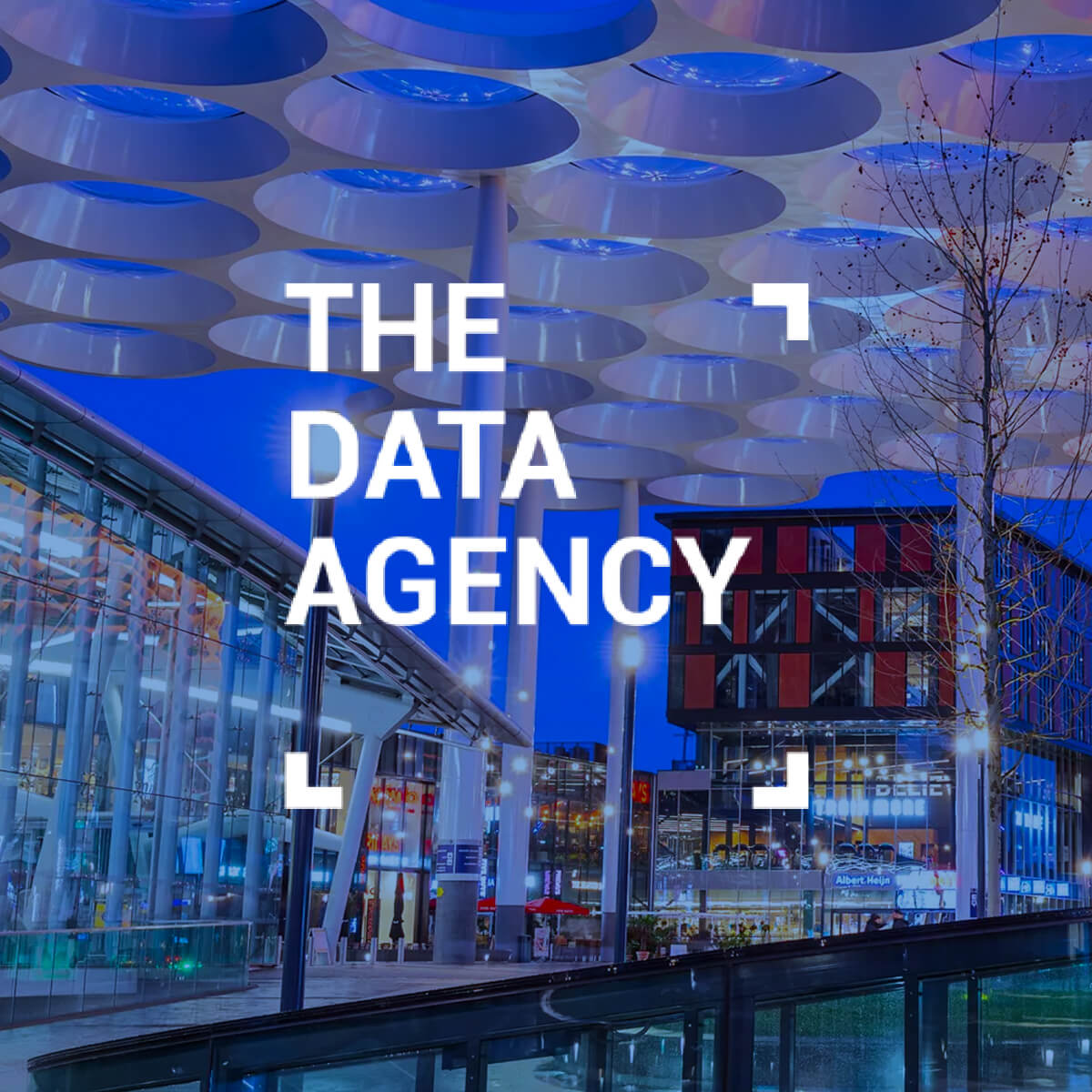 Portfolio Bedrijven – NewPort Capital